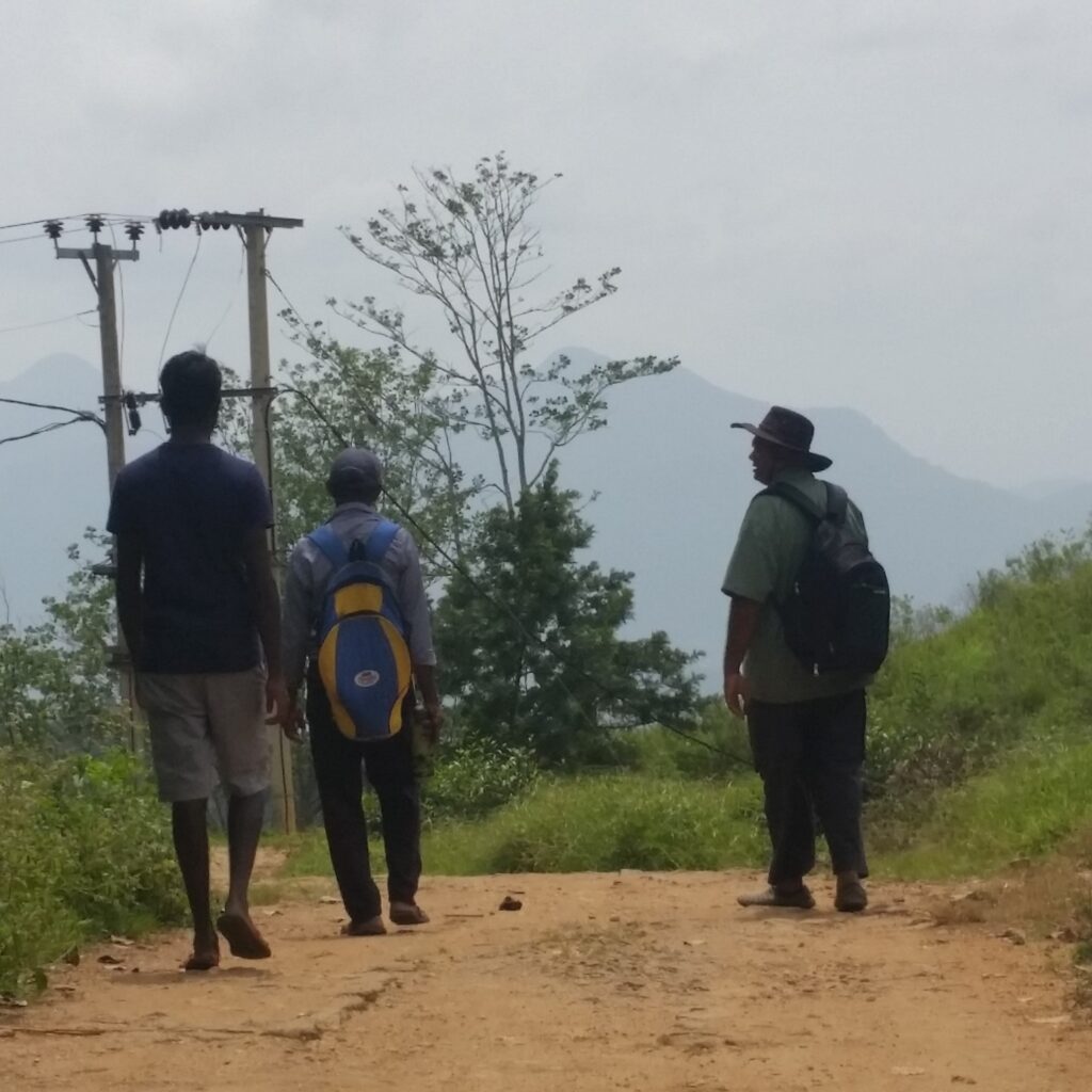 Simpson’s Experience – Simpson's Forest