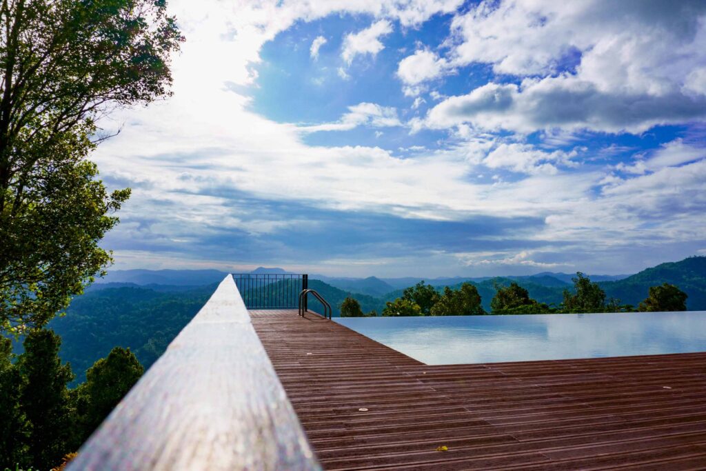 Gallery – Simpson's Forest