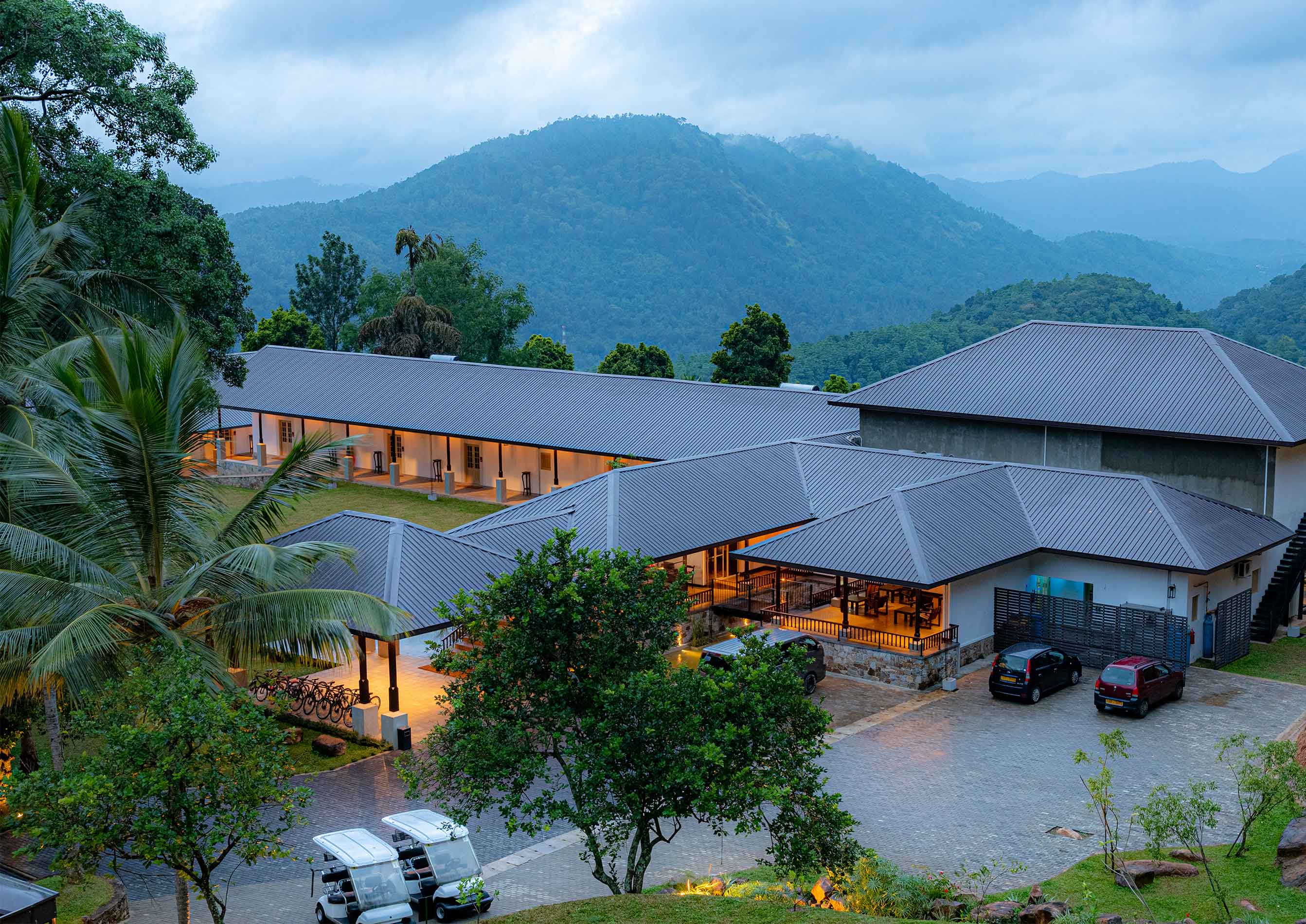 Simpson's Forest – Simpson's Forest