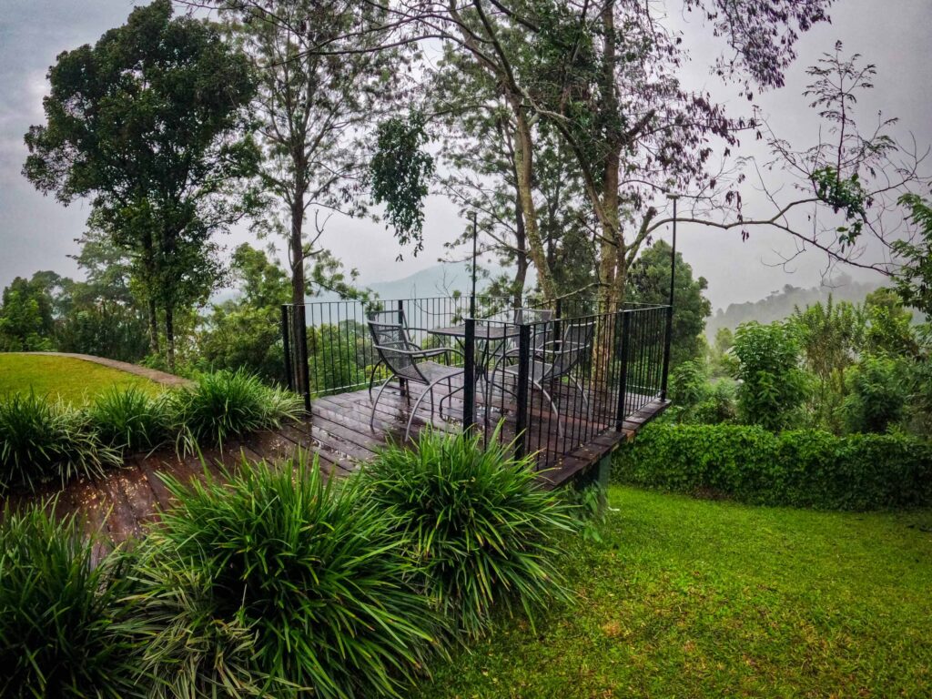 Gallery – Simpson's Forest