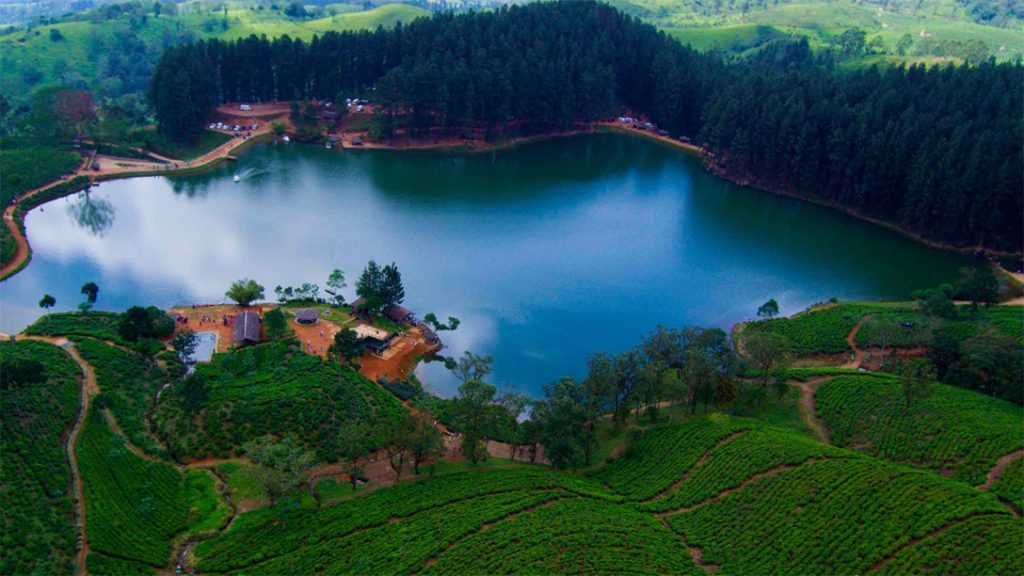 Sembuwatta – Simpson's Forest