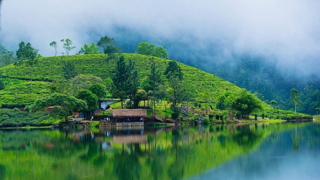 Sembuwatta – Simpson's Forest