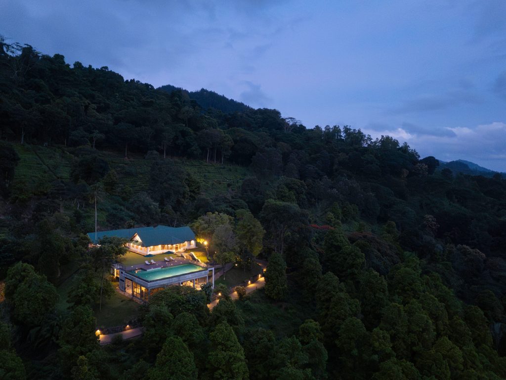Simpson's Forest – Simpson's Forest