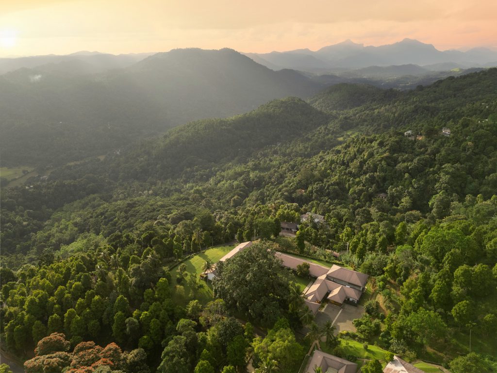Accomodation – Simpson's Forest